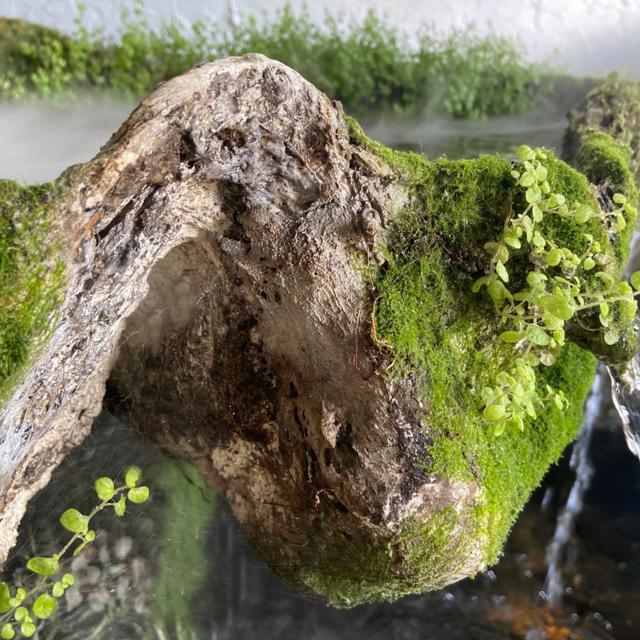 DANIEL LAURENCE ARTWORKS