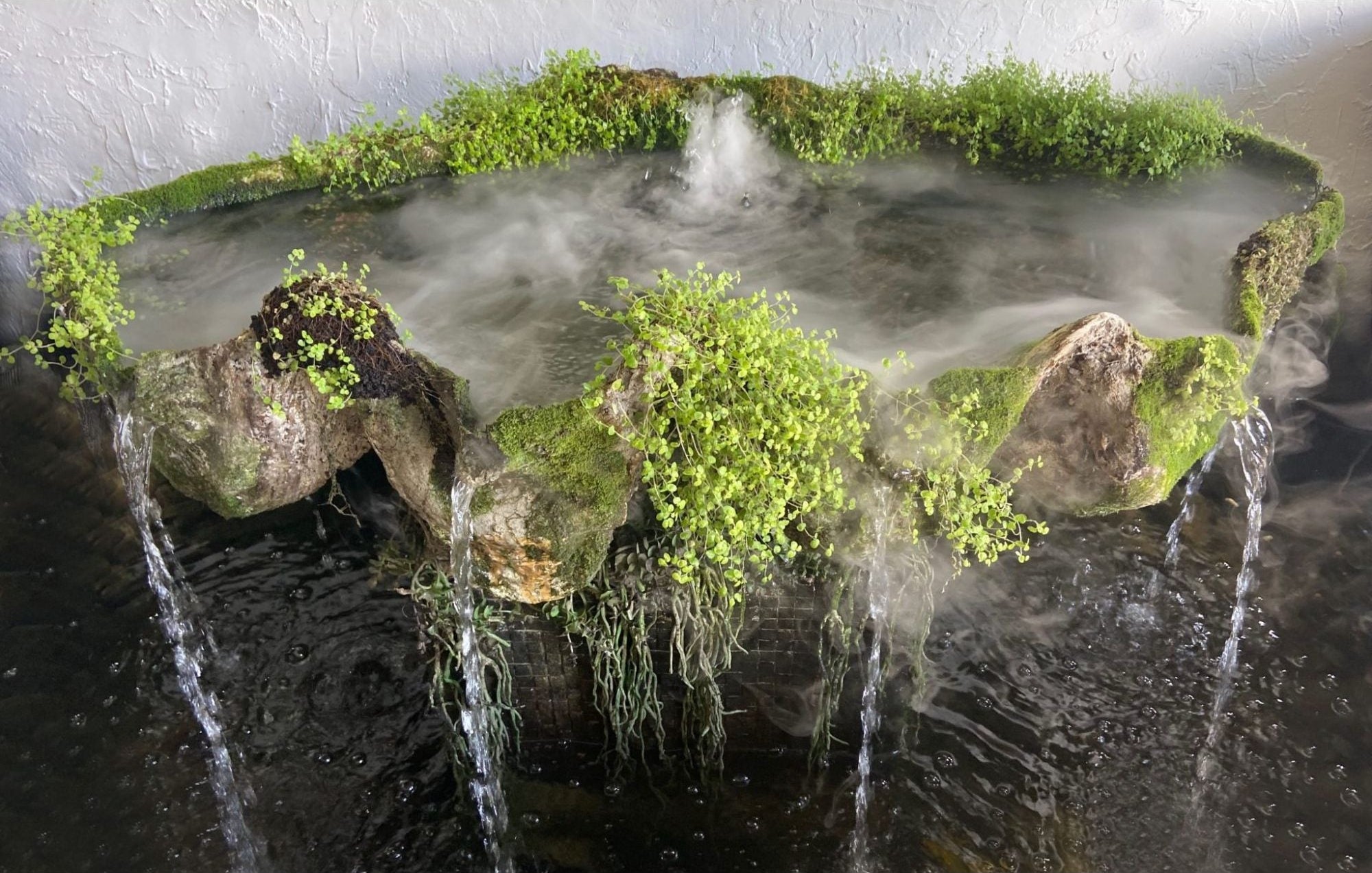 DANIEL LAURENCE ARTWORKS